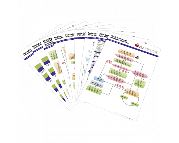 PALS Poster Set | AHA