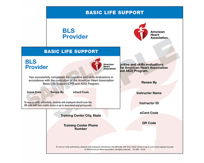 BLS Provider eCard | AHA