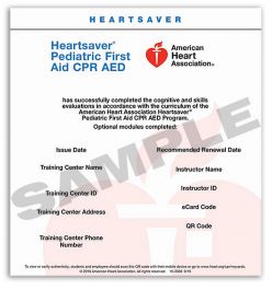 Heartsaver Pediatric First Aid CPR AED eCard