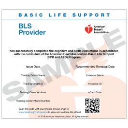 Basic Life Support (BLS) Provider eCard
